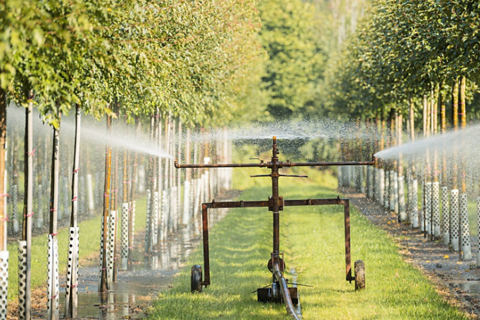 Austria's Smaller Industries Secure Wage Increases for 2025 - The ...