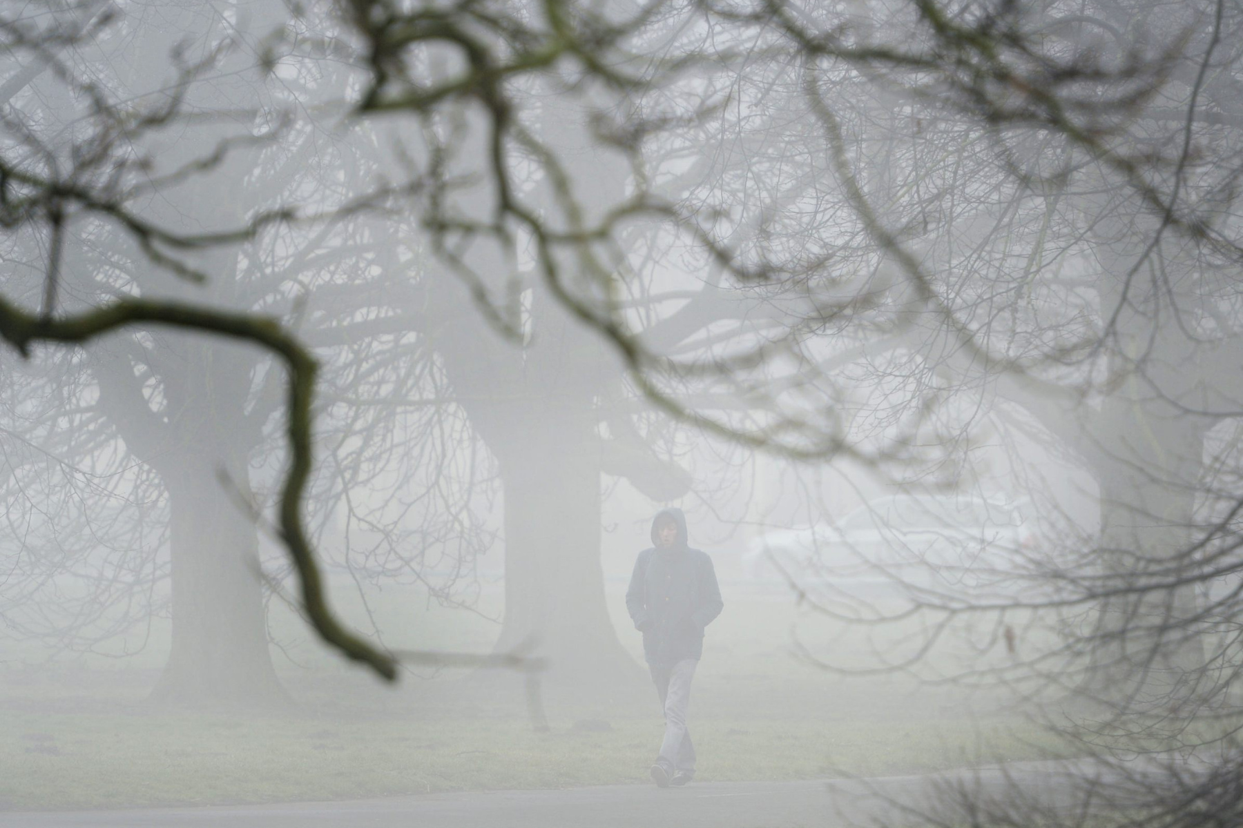 Fog, Rain, and Sunshine: Austria’s Weather Through Tuesday - The ...
